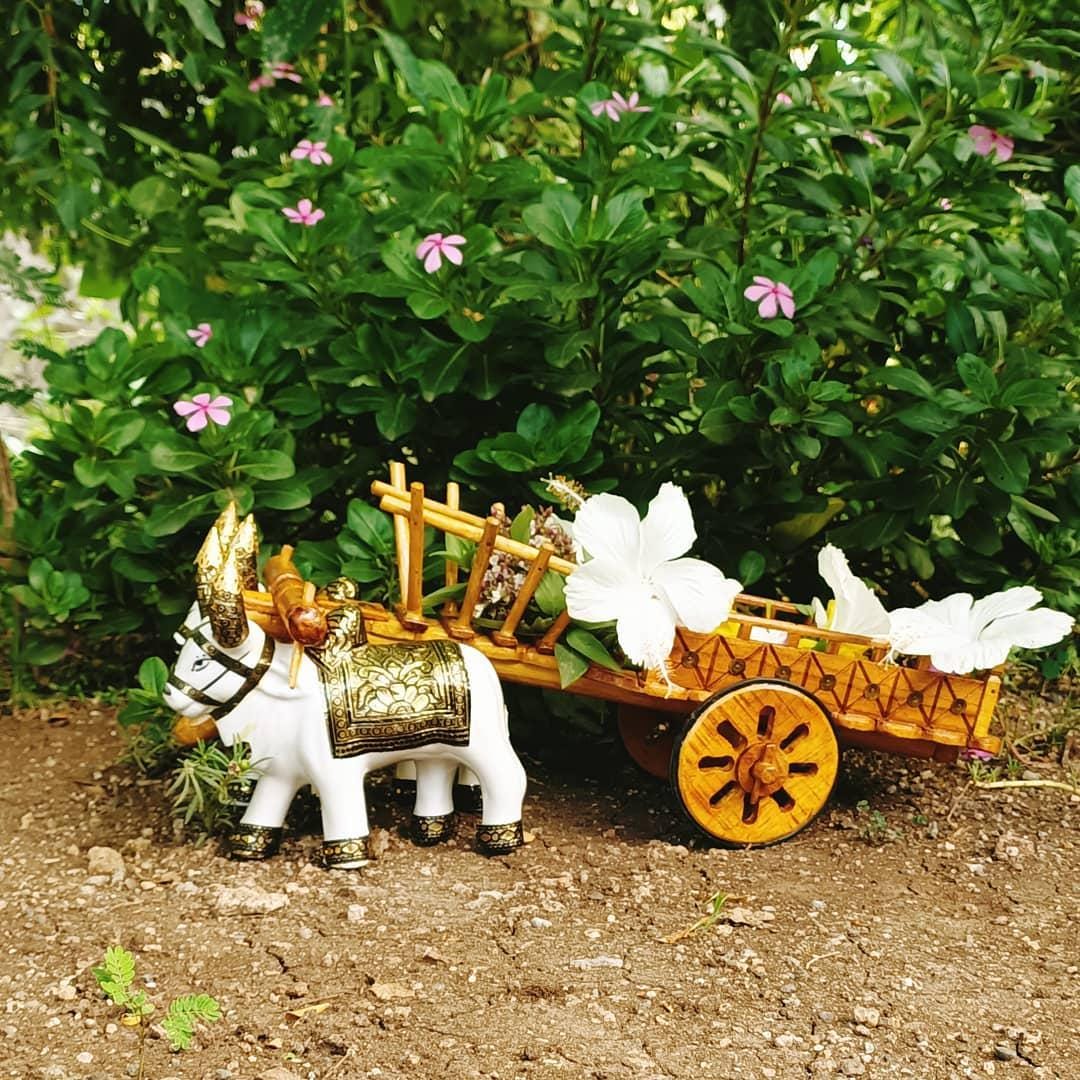 Indian Village Bullock Cart Wooden Statue Bullock Cart Rath Chariot ...