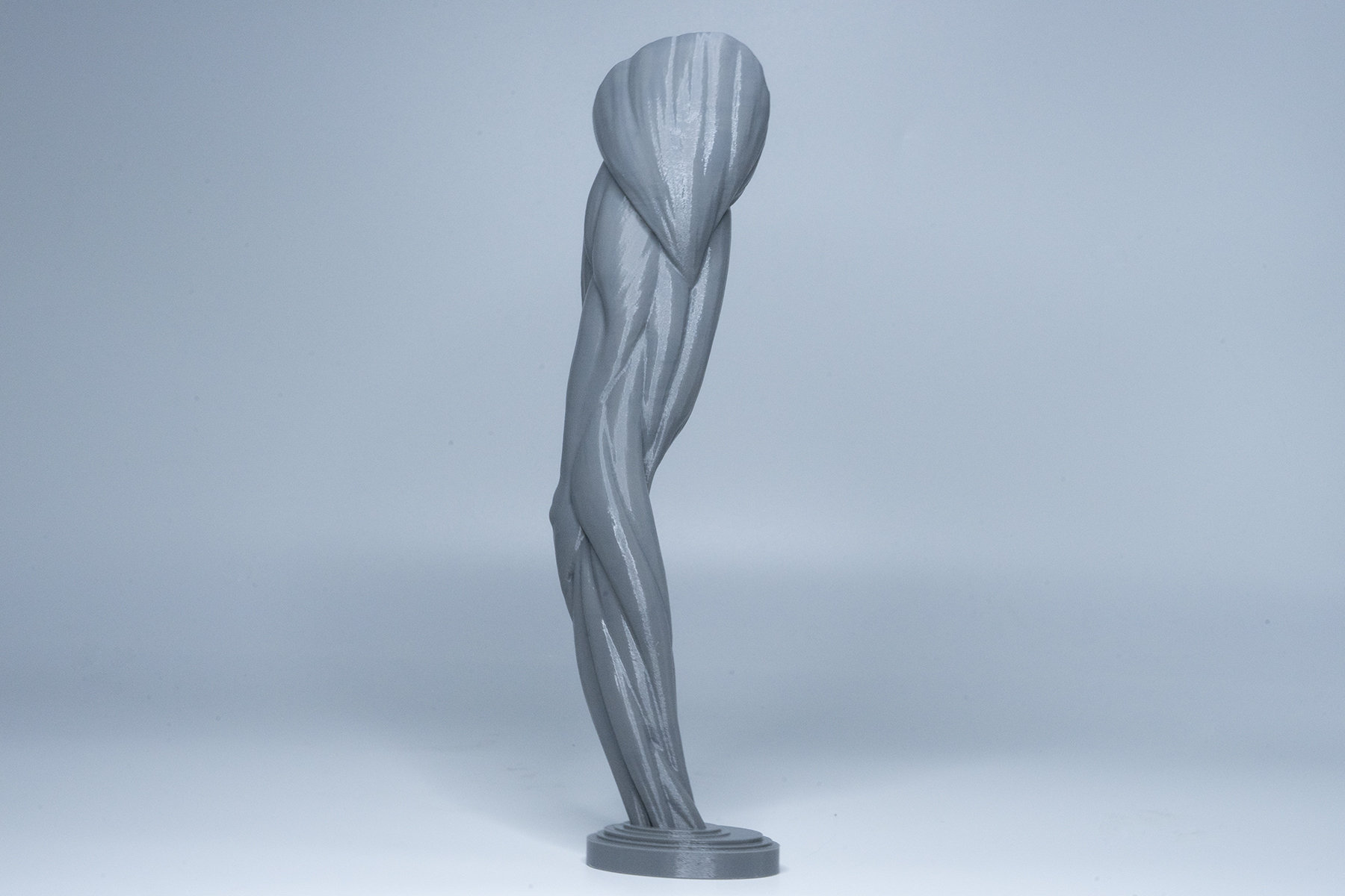 Artist Arm Anatomy Tool Model Sculpture Muscle Reference Art Statue ...