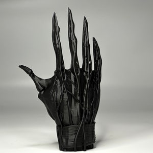 Hand Anatomy Model Sculpture Male 3D Print / Art Reference - Etsy