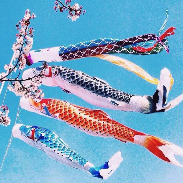 Fish Wind Chimes - Etsy