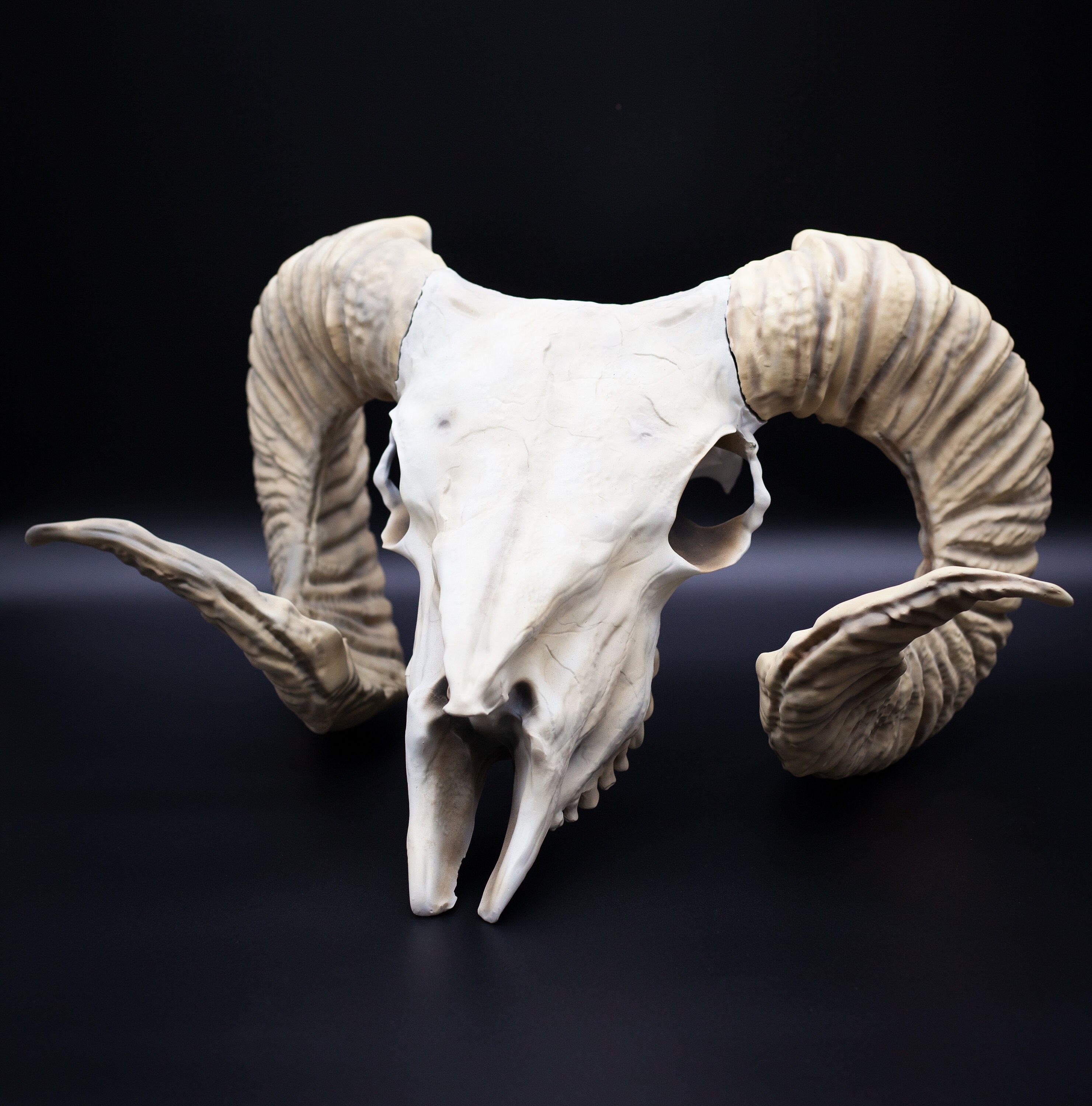 Ram Skull Colored by Hand With Airbrush, Unique and Original Piece (it ...