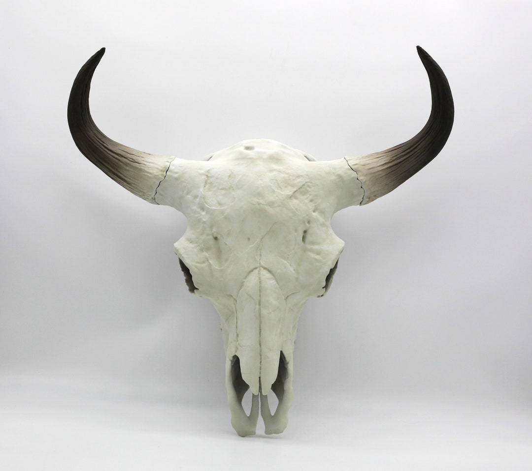 Bull Skull Buffalo Head Skull - Etsy