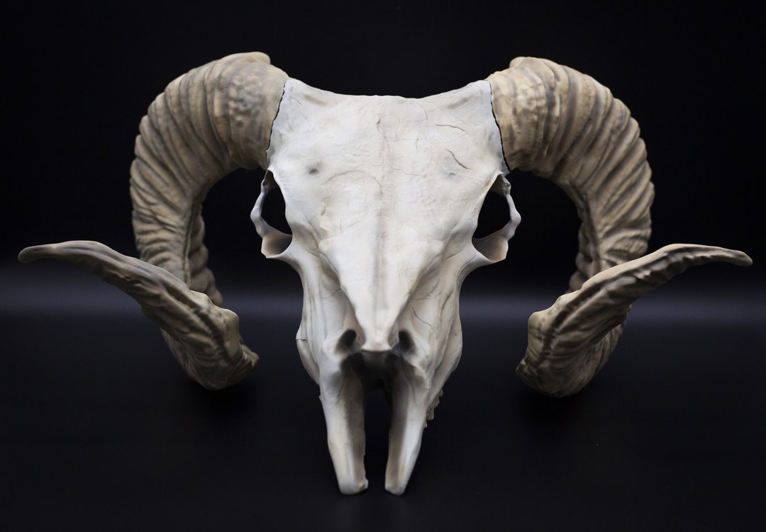 Ram Skull Colored by Hand With Airbrush, Unique and Original Piece it ...
