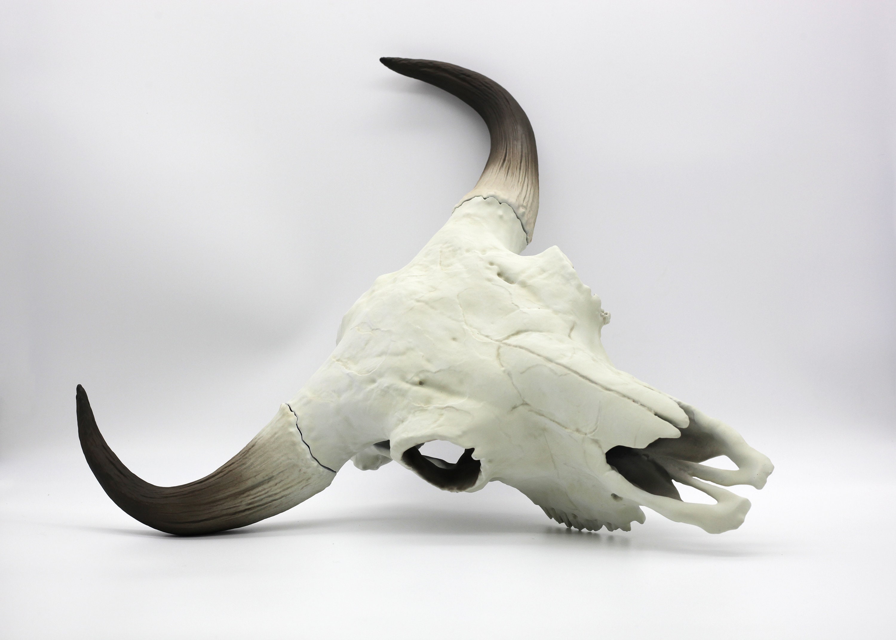 Bull Skull Finished and Painted by Hand Buffalo Head Skull Finished and ...