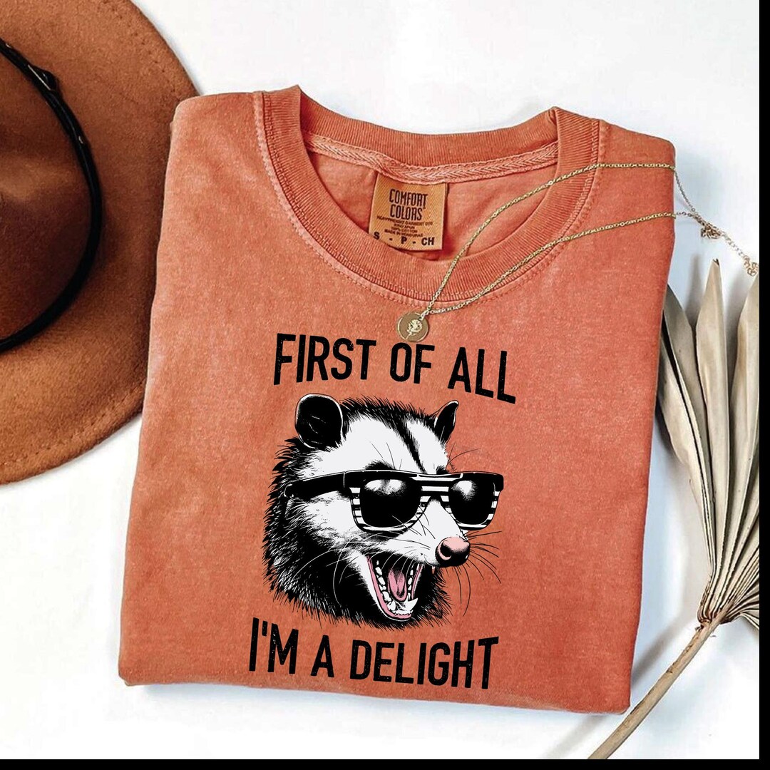 Funny First of All I'm A Delight Raccoon T-shirt, Retro Raccoon Graphic Shirt, Funny Raccoon ...