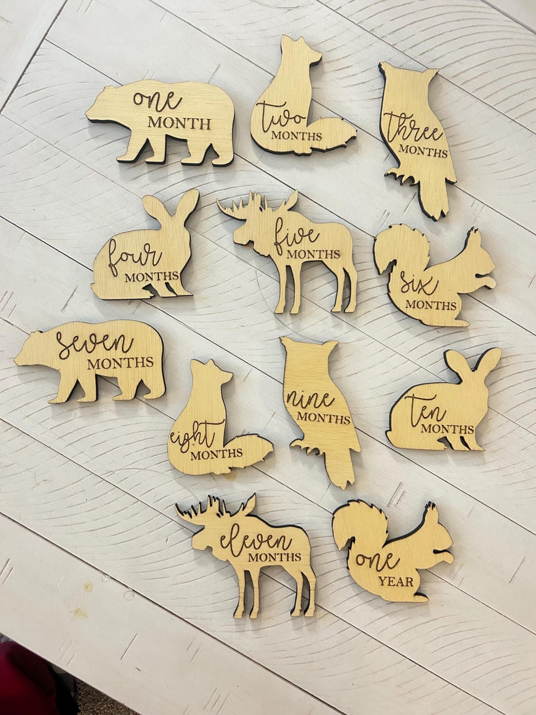 Cutout Animal Monthly Milestones - Newborn Photo Prop - Baby's Firsts ...