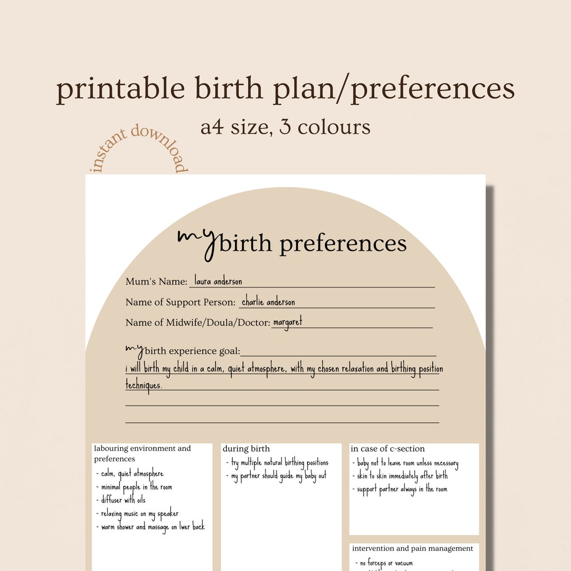 Printable Birth Plan Preferences Template Instant Download - Etsy