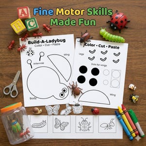 Insects and Bugs Activity Pack for Preschool and Kindergarten Ages 3-6 ...