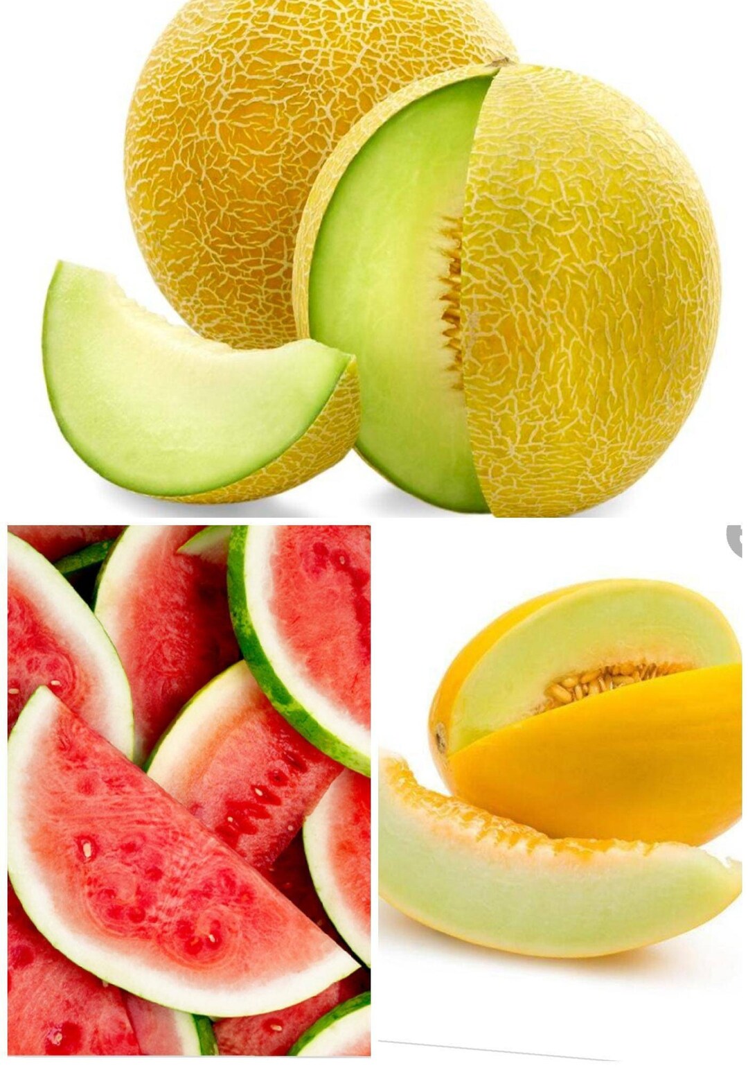 3 Types of Melon Seeds - Galia Melon Seeds, Watermelon Seeds, Honeydew ...