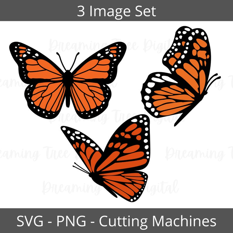 Monarch Butterfly SVG Monarch Butterflies PNG Butterflies - Etsy Canada