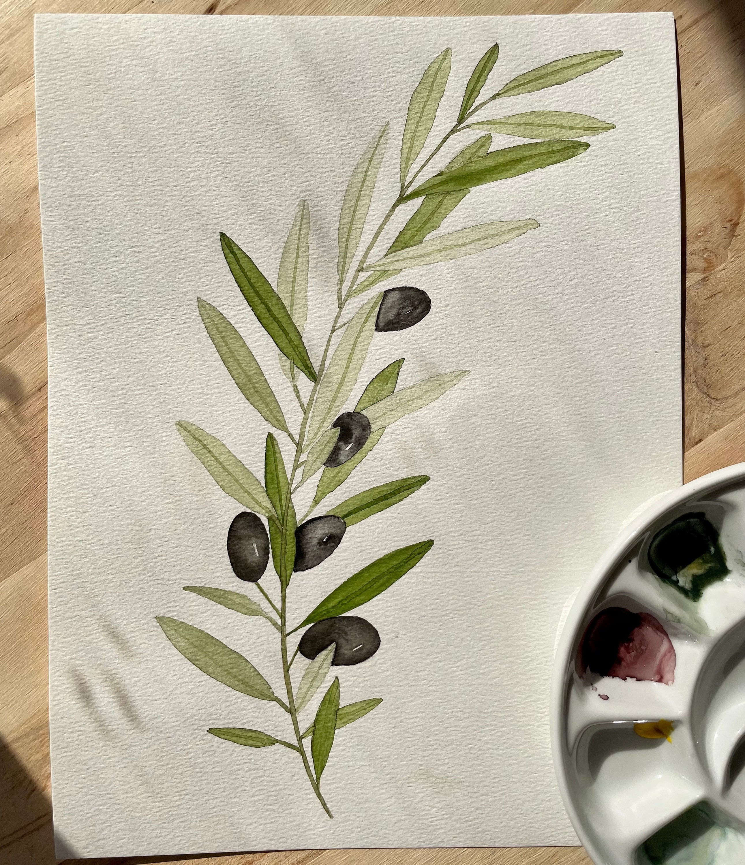 Olive Branch Botanical Print, Digital Download, Olive Branch Leaves ...