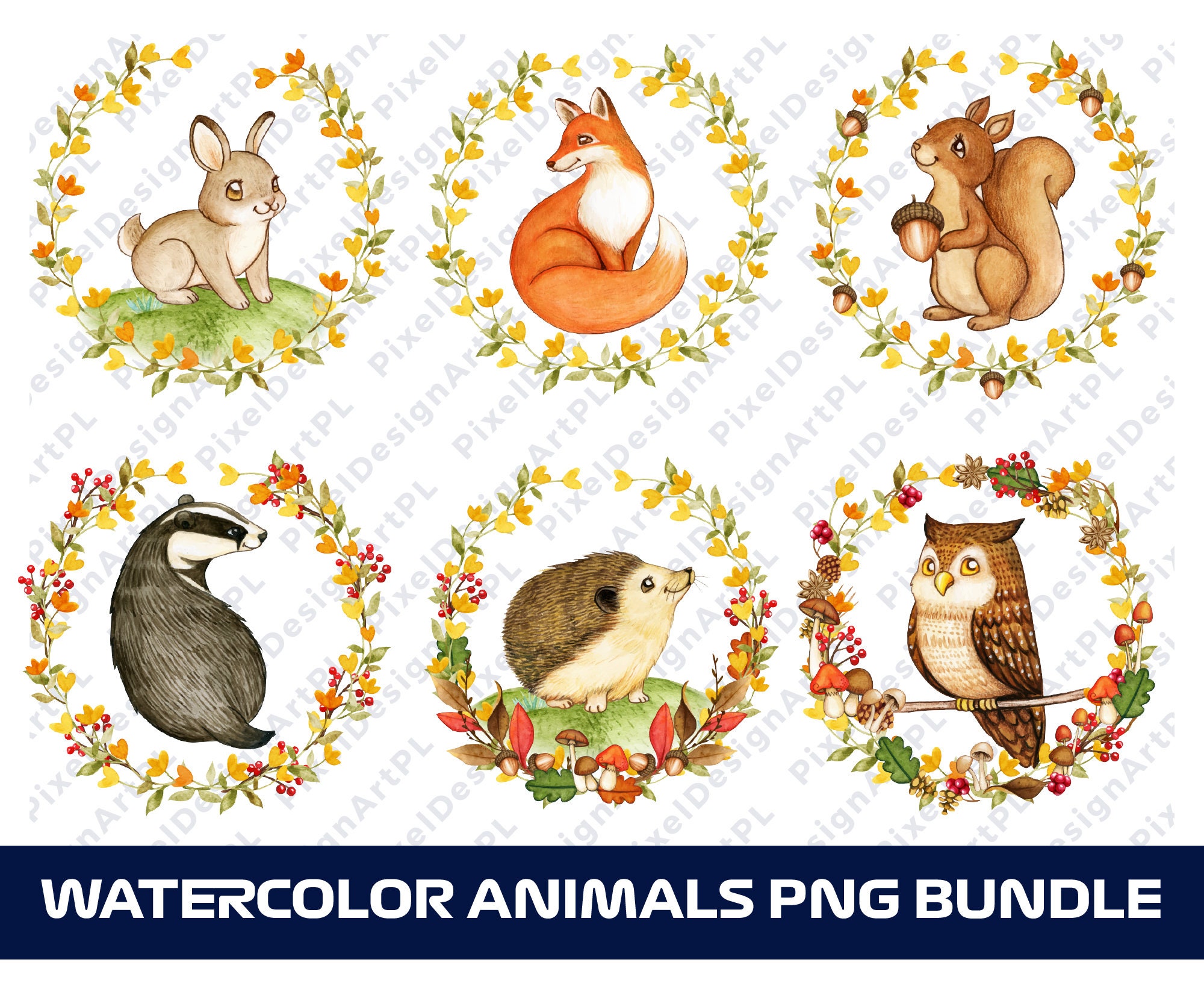Watercolor Forest Animals PNG Bundle - 6 Designs, Owl PNG, Fox PNG ...
