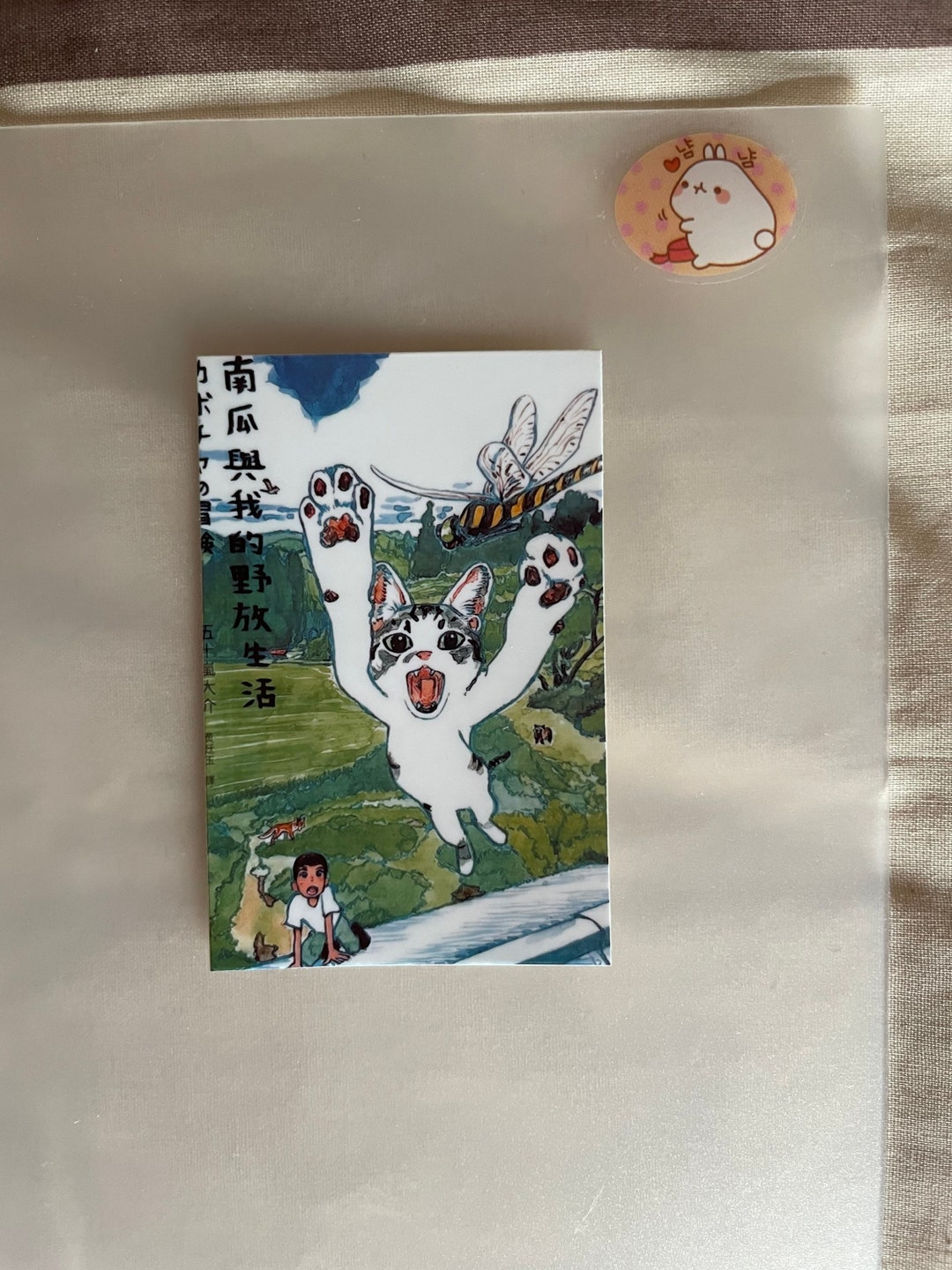 Cat Jumping Sticker - Etsy