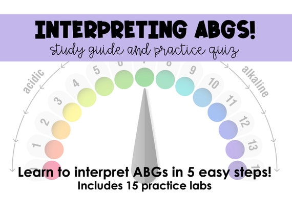 How to Interpret Abgs in 5 Easy Steps Study Guide Practice | Etsy