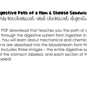 Digestive System Study Guide! Path of a Sandwich - Mechanical and ...