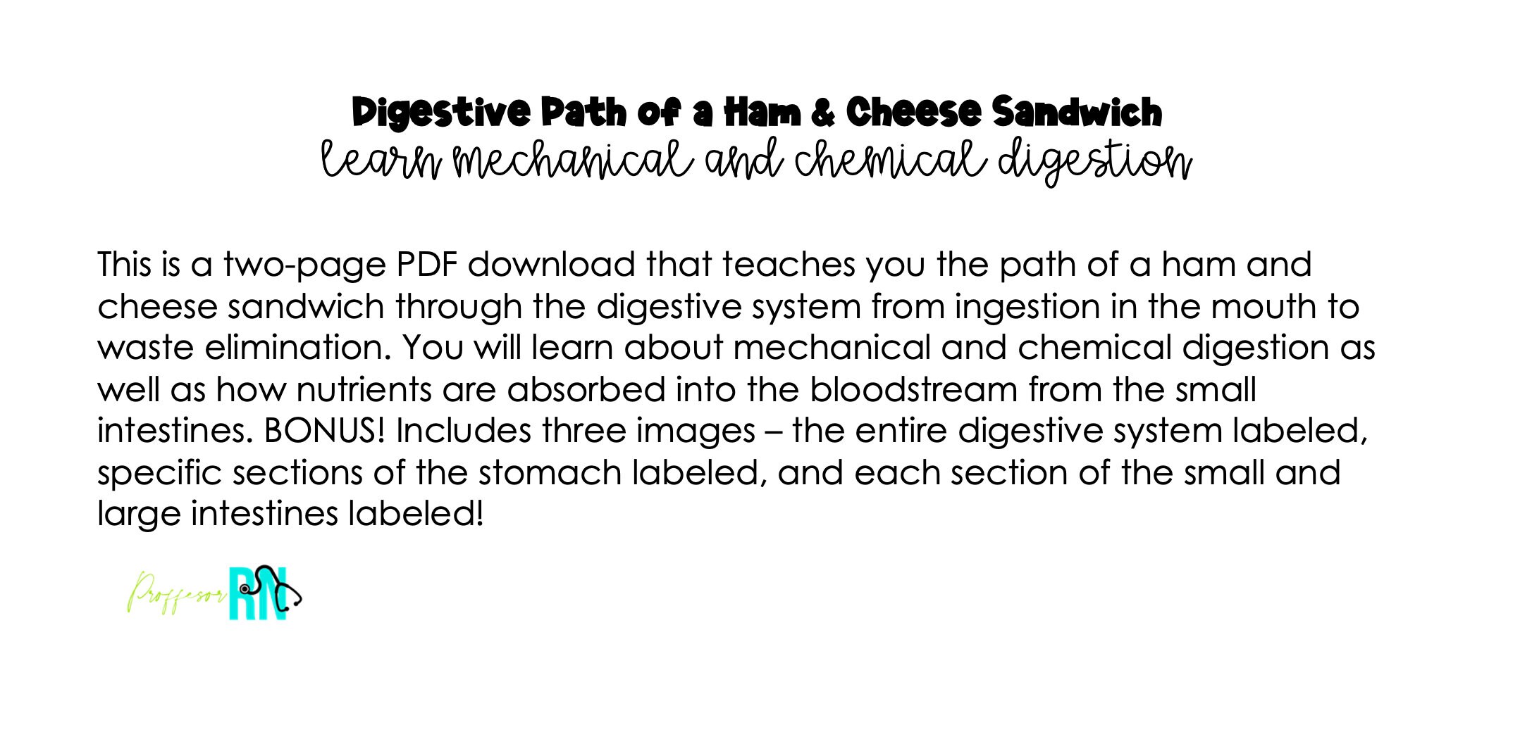 Digestive System Study Guide! Path of a Sandwich - Mechanical and ...