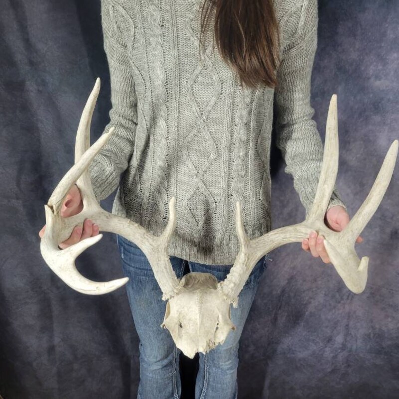 Antler Rack - Etsy