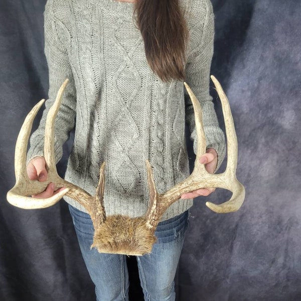 Antler Rack - Etsy