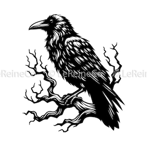 Raven on Tree Branch Vector Image, Raven Clipart Silhouette Vector ...