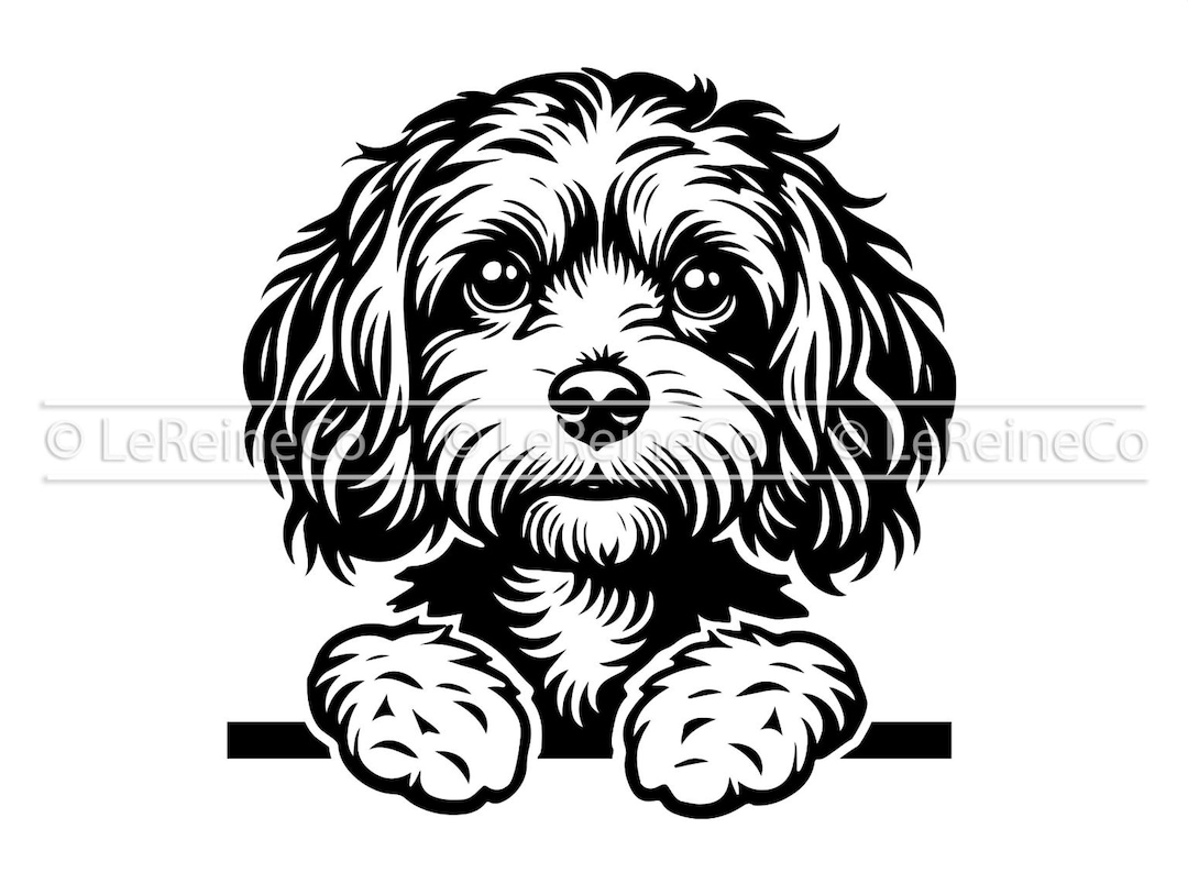 Cavapoo Peeking Dog Svg Png Eps Dxf, Clipart Vector, Doodle Breed ...