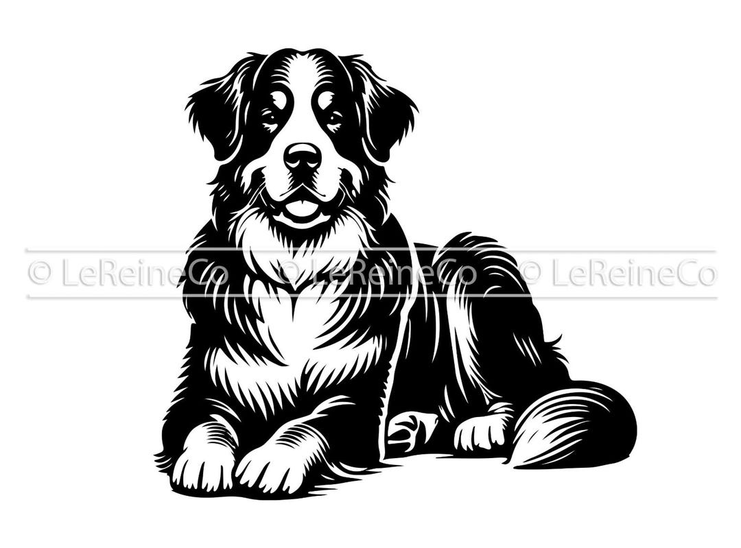 Bernese Mountain Dog Vector, Bernese Mountain Clipart, Bernese Mountain ...
