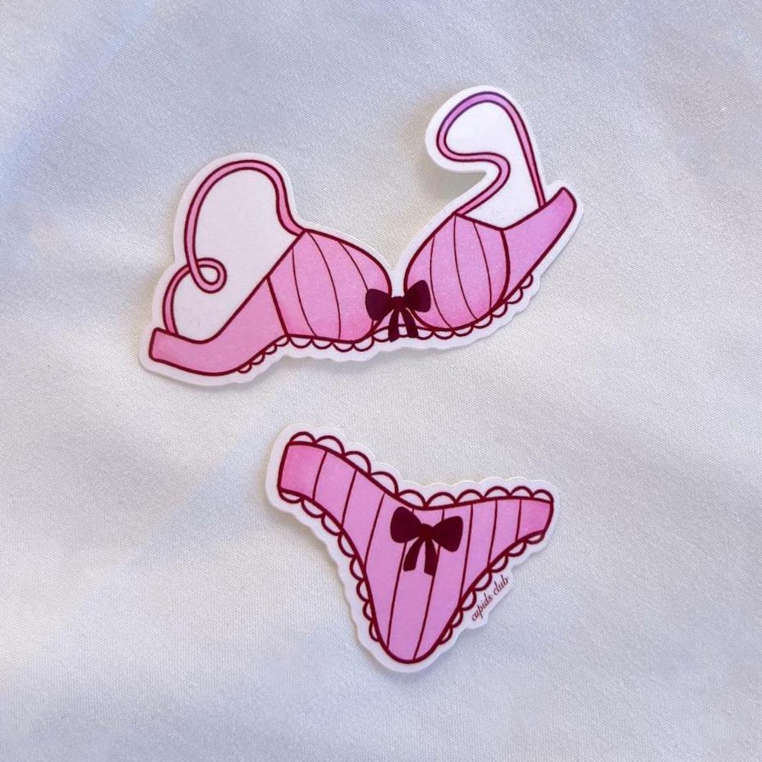 Cute Lingerie Sticker Set | Waterproof Vinyl Sticker | Kindle Sticker ...