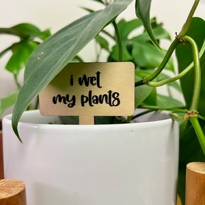 Plant Markers/tags Funny Plant Sayings Gifts for Plant | Etsy