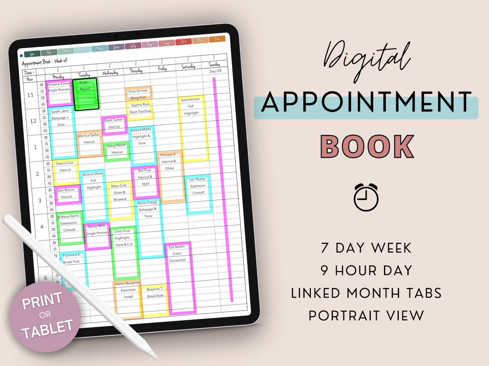 Digital Appointment Book, Salon Appointment Book, Goodnotes, iPad ...