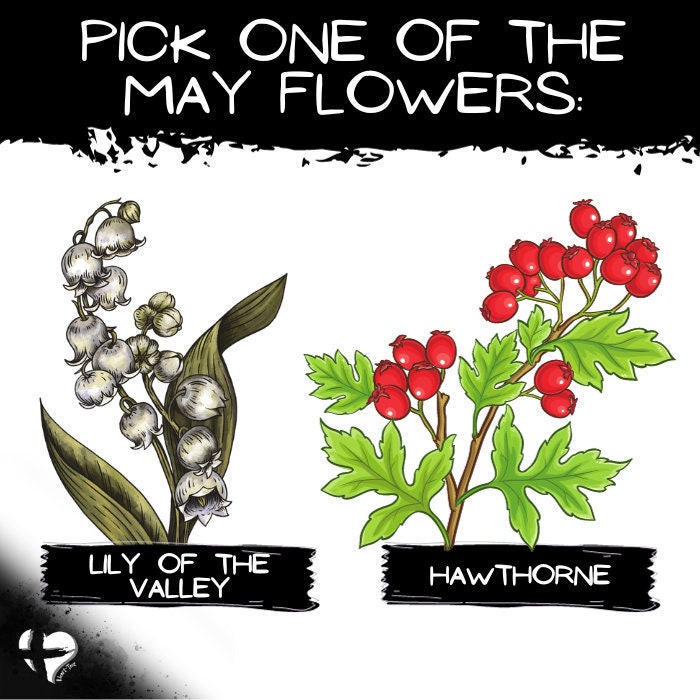 May Birth Month Flower Gift, Heart Acrylic Plaque | Lily of the Valley ...