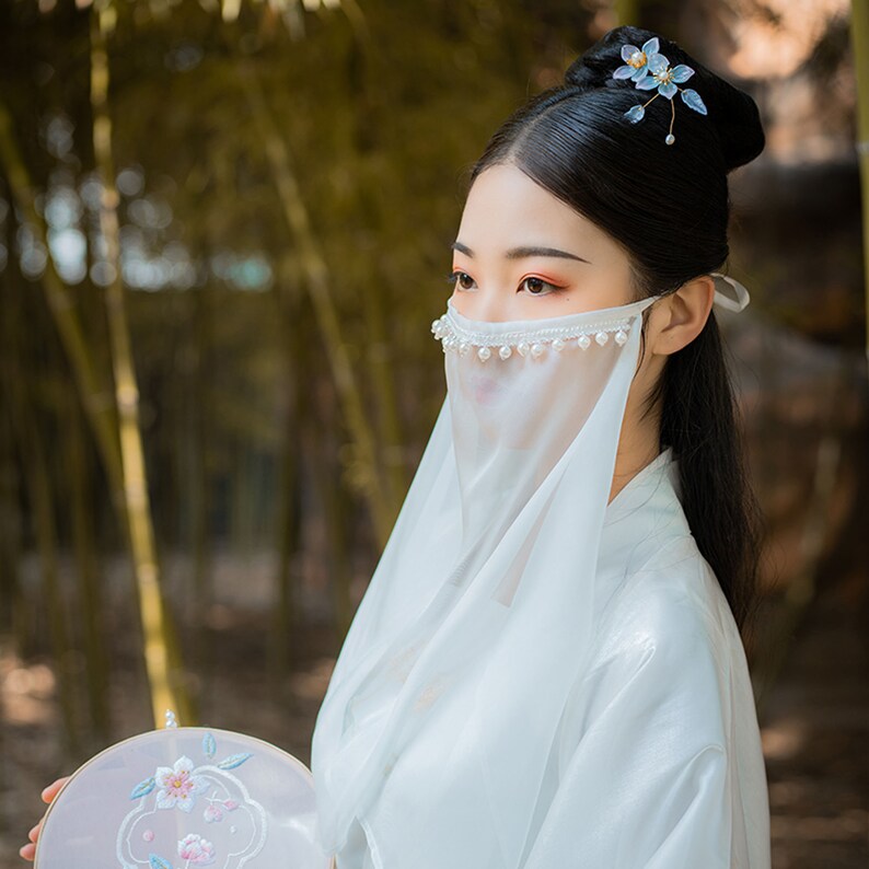 Hanfu Face Veil Princess Jewelry Face Scarf Harem Mask - Etsy