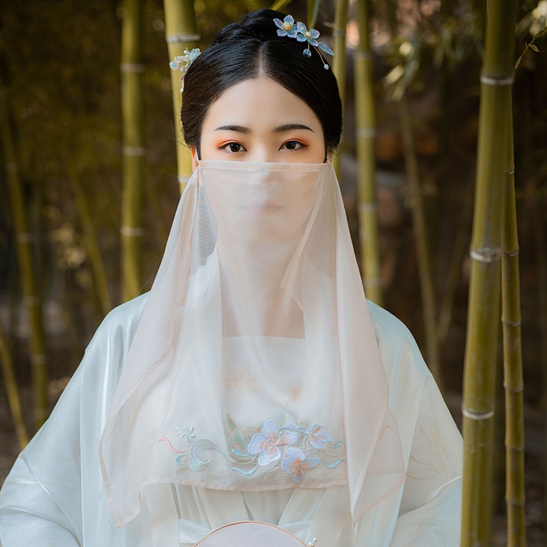 Hanfu Face Veil, Princess Jewelry, Face Scarf, Harem Mask, Belly Dance ...