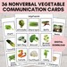 Nonverbal Communication Cards, Visual Board, Flash Cards Special Needs ...