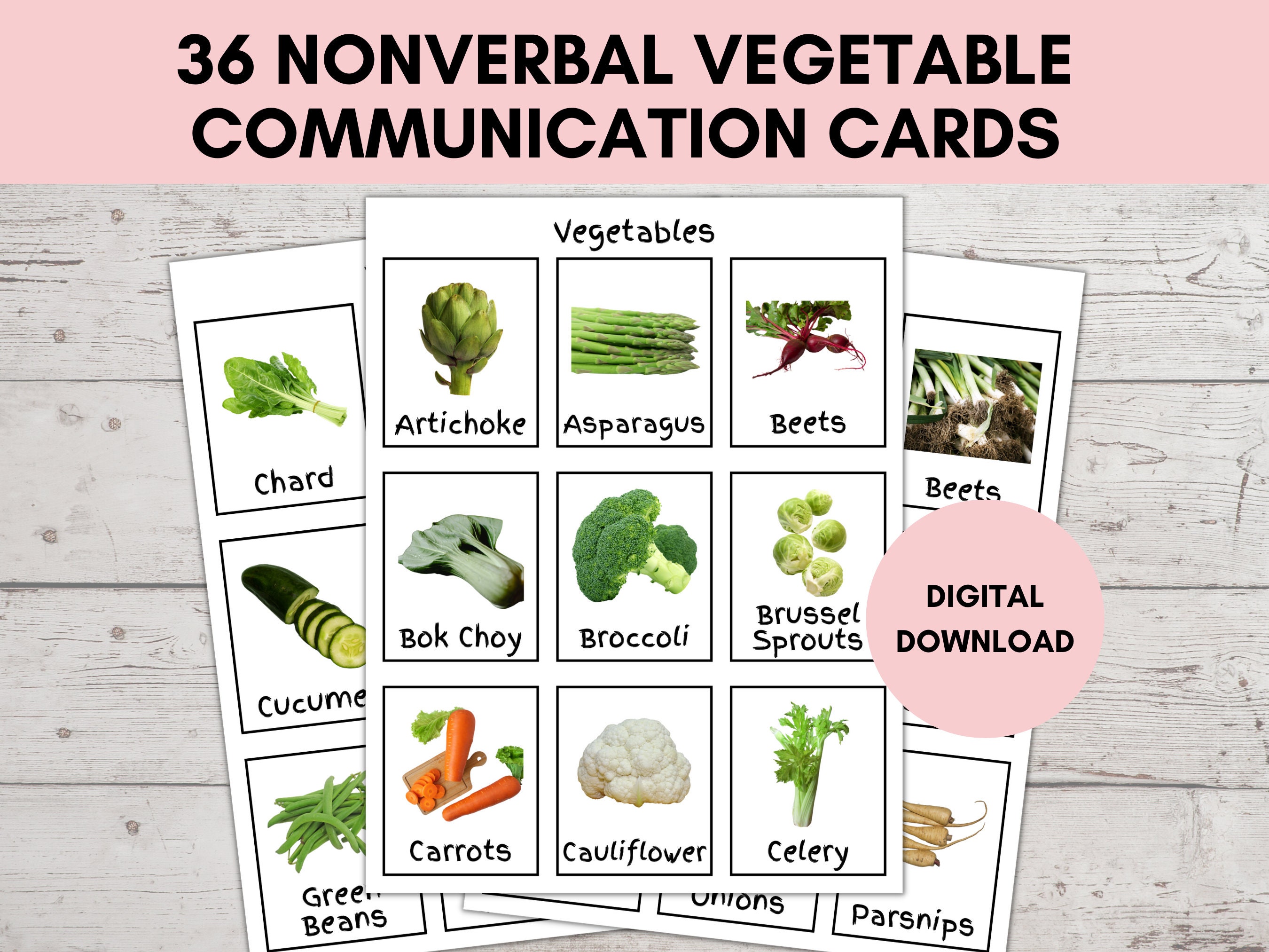 Nonverbal Communication Cards, Visual Board, Flash Cards Special Needs ...