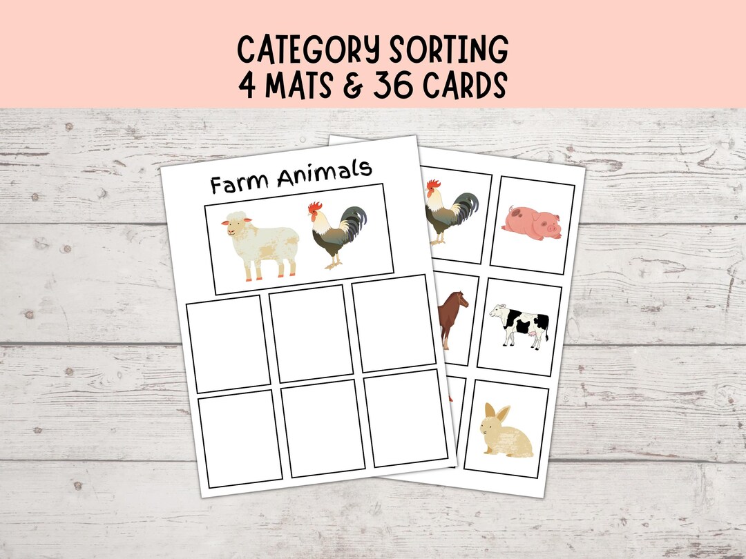 Category Sorting 3, Speech Therapy, Sorting Objects Into Categories ...