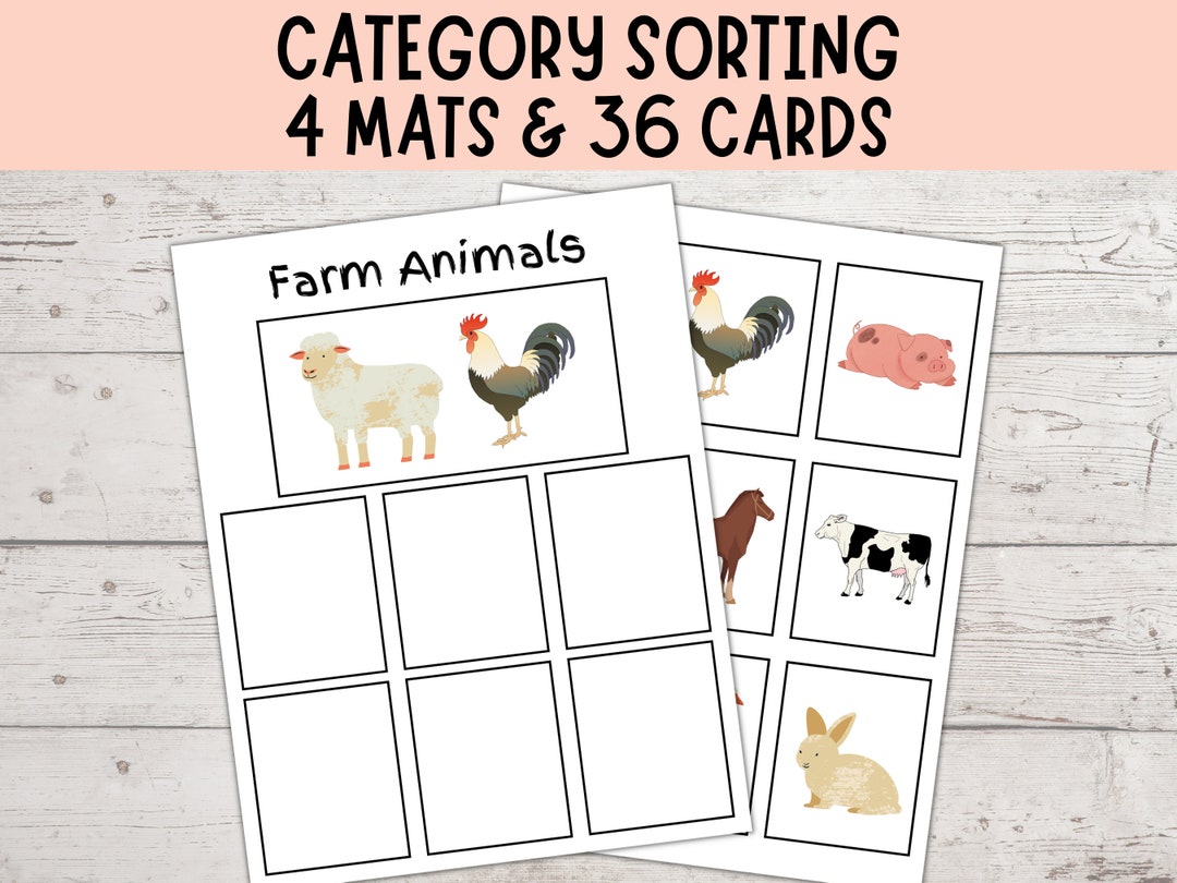 Category Sorting 3, Speech Therapy, Sorting Objects Into Categories ...