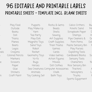 Toy Bin Labels, EDITABLE & PRINTABLE Toy Bin Storage Labels, Visual ...