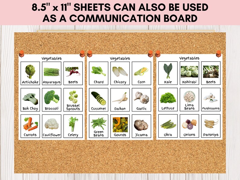 Nonverbal Communication Cards, Visual Board, Flash Cards Special Needs ...