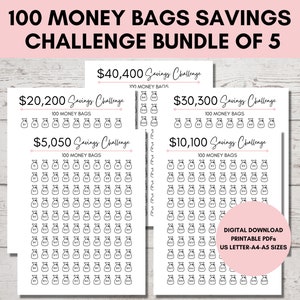 Printable 100 Envelope Challenge Bundle, Savings Challenge, Savings ...