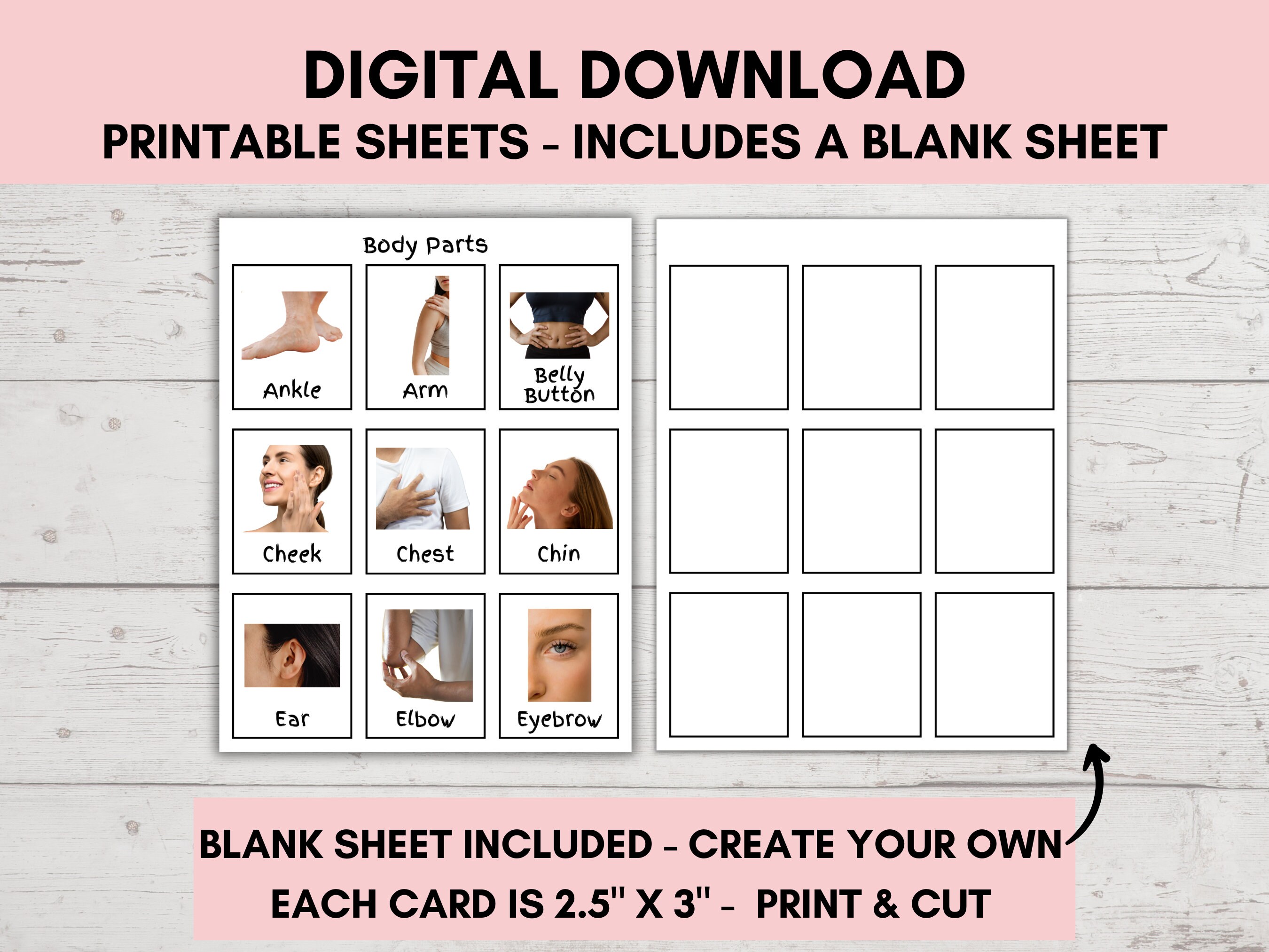 Body Parts Cards, 27 Montessori Flashcards, Pre-school Cards, Rainbow ...