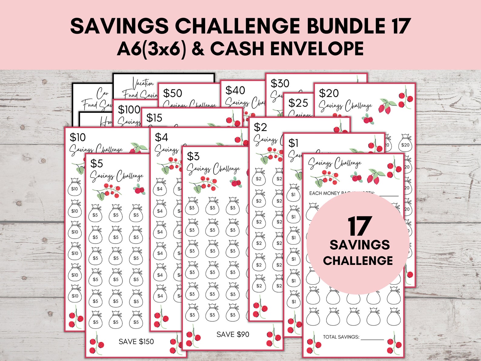 A6 Savings Challenge Printable, Savings Challenge Bundle, A6 Sized Mini ...