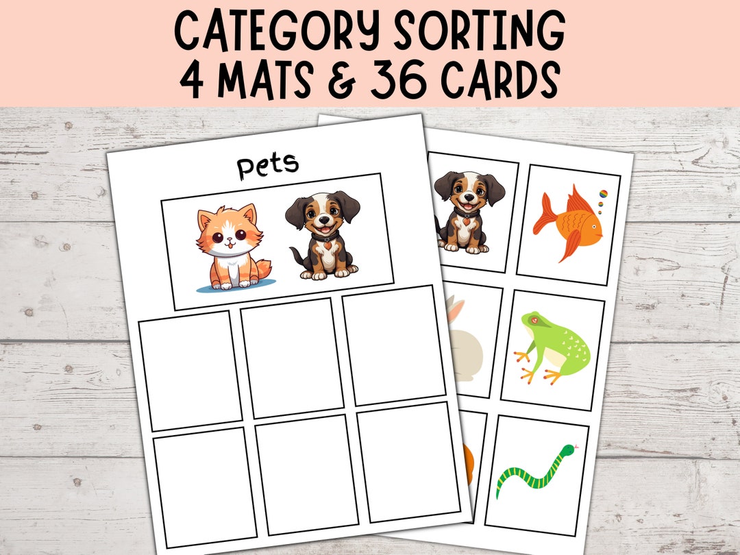 Category Sorting 1, Speech Therapy, Sorting Objects Into Categories ...