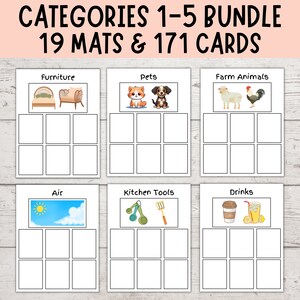Category Sorting Bundle 1-5, Speech Therapy, Sorting Objects Into ...