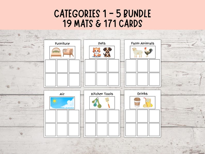 Category Sorting Bundle 1-5, Speech Therapy, Sorting Objects Into ...
