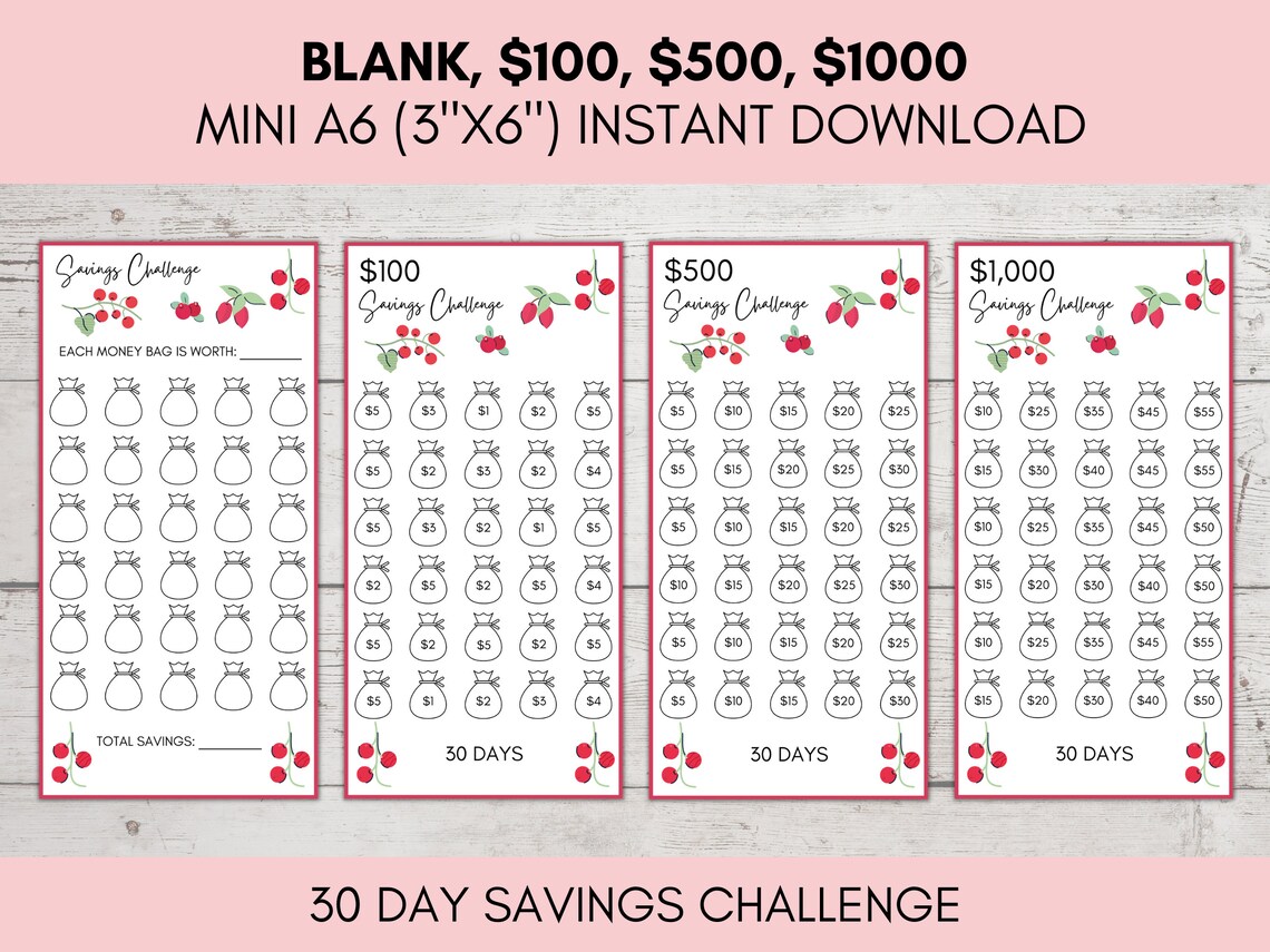 A6 Savings Challenge Printable, Savings Challenge Bundle, A6 Sized Mini ...