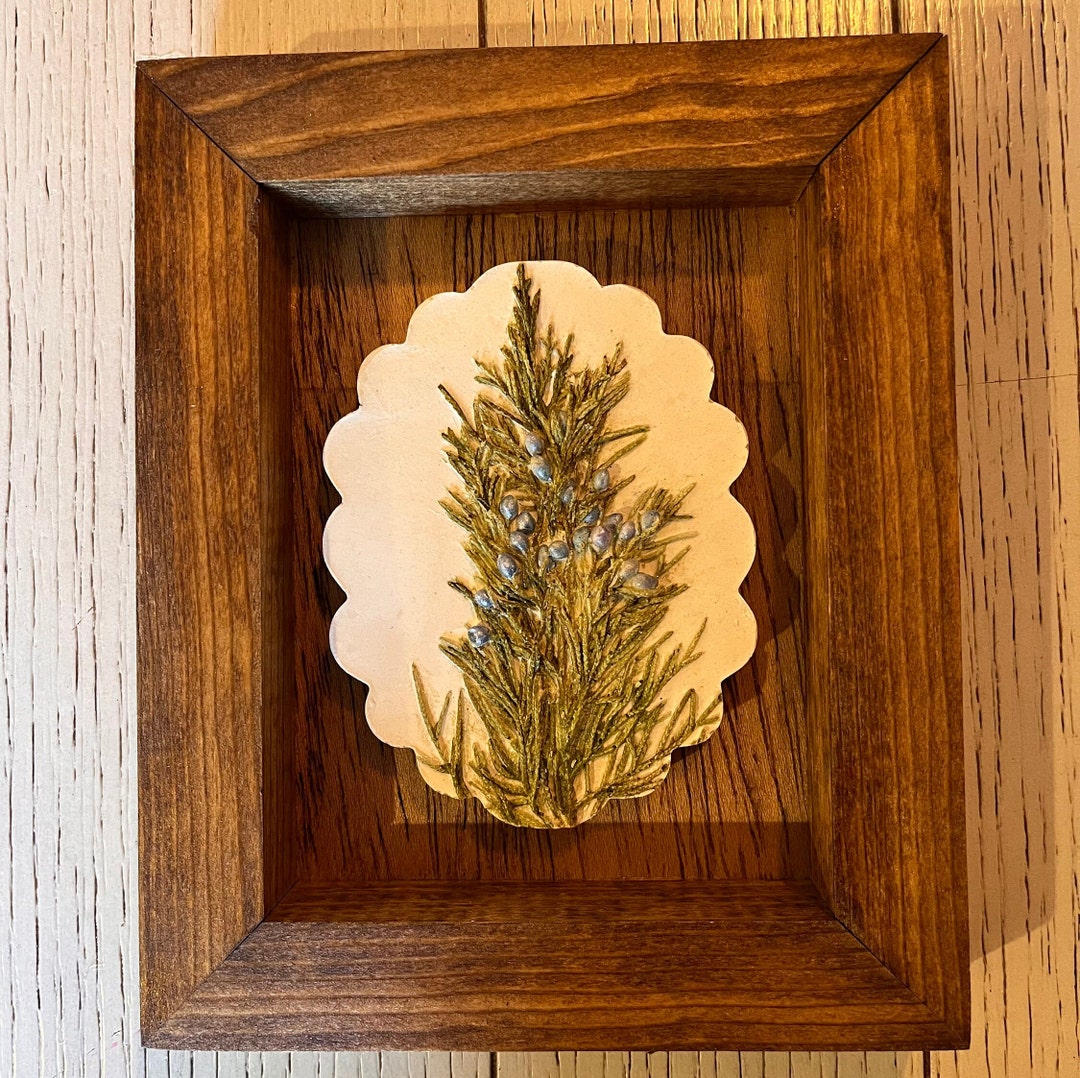 Plaster Cast Eastern Red Cedar - Etsy