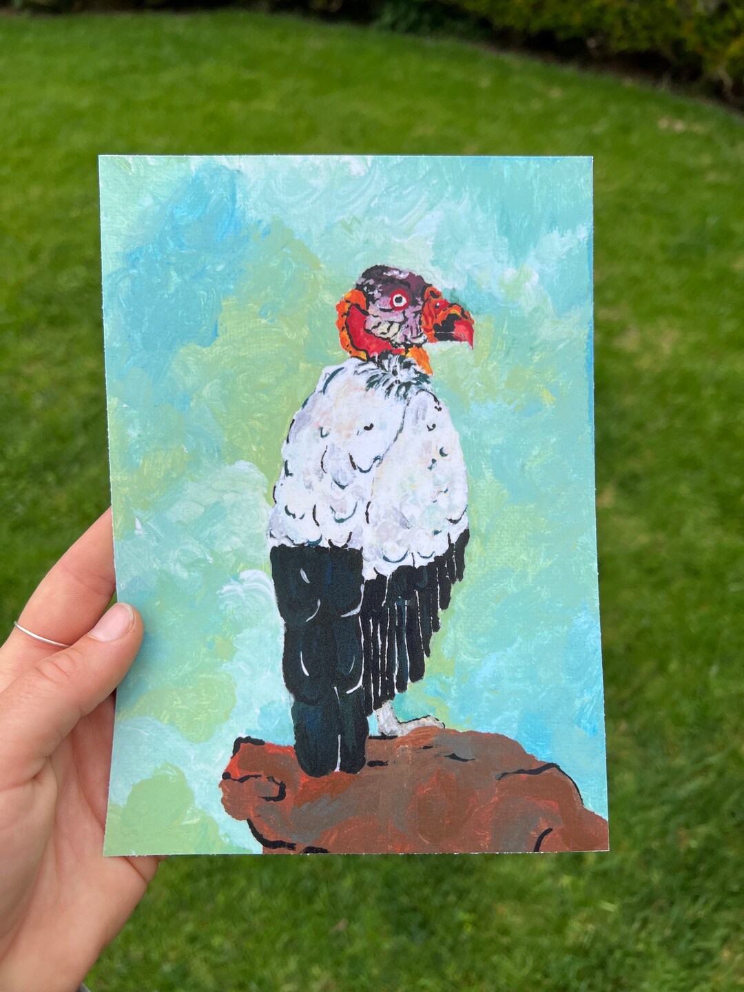 King Vulture (print) - Etsy