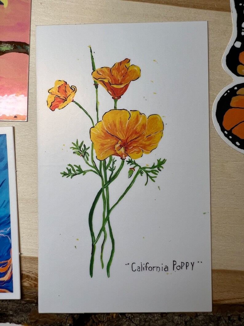 California Poppy (print/sticker) - Etsy