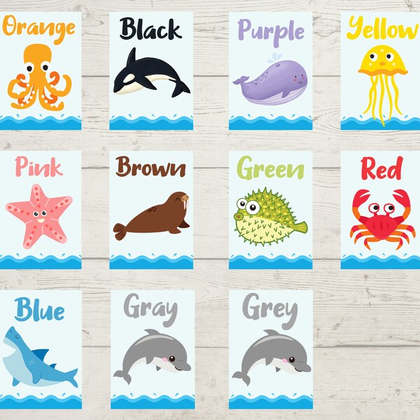 Homeschool Classroom - Etsy