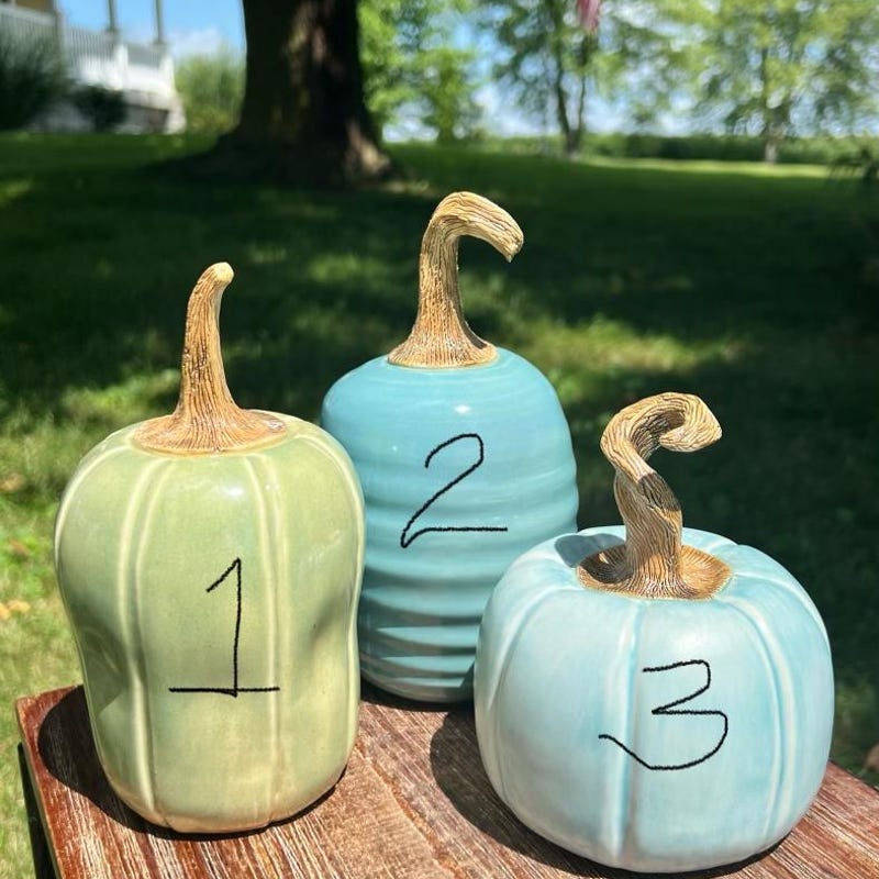 Turquoise Pumpkin - Etsy