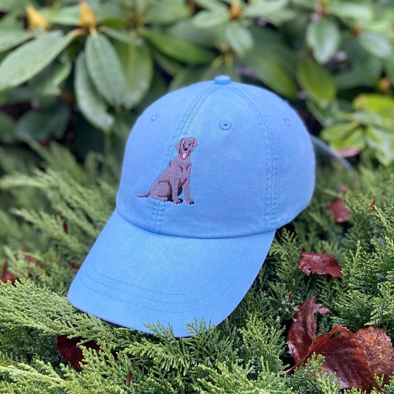 Black Labrador Retriever Hat, Dog Mom Gift for Mother's Day Pet Hat for ...